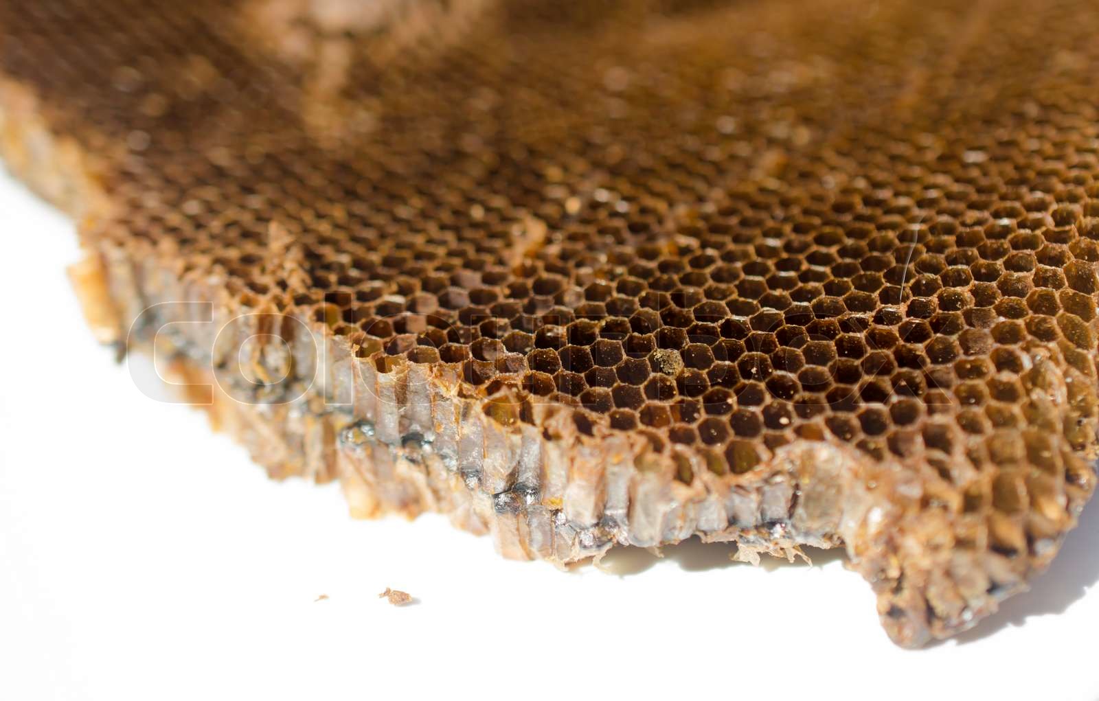 Bienenwabe | Stock Bild | Colourbox