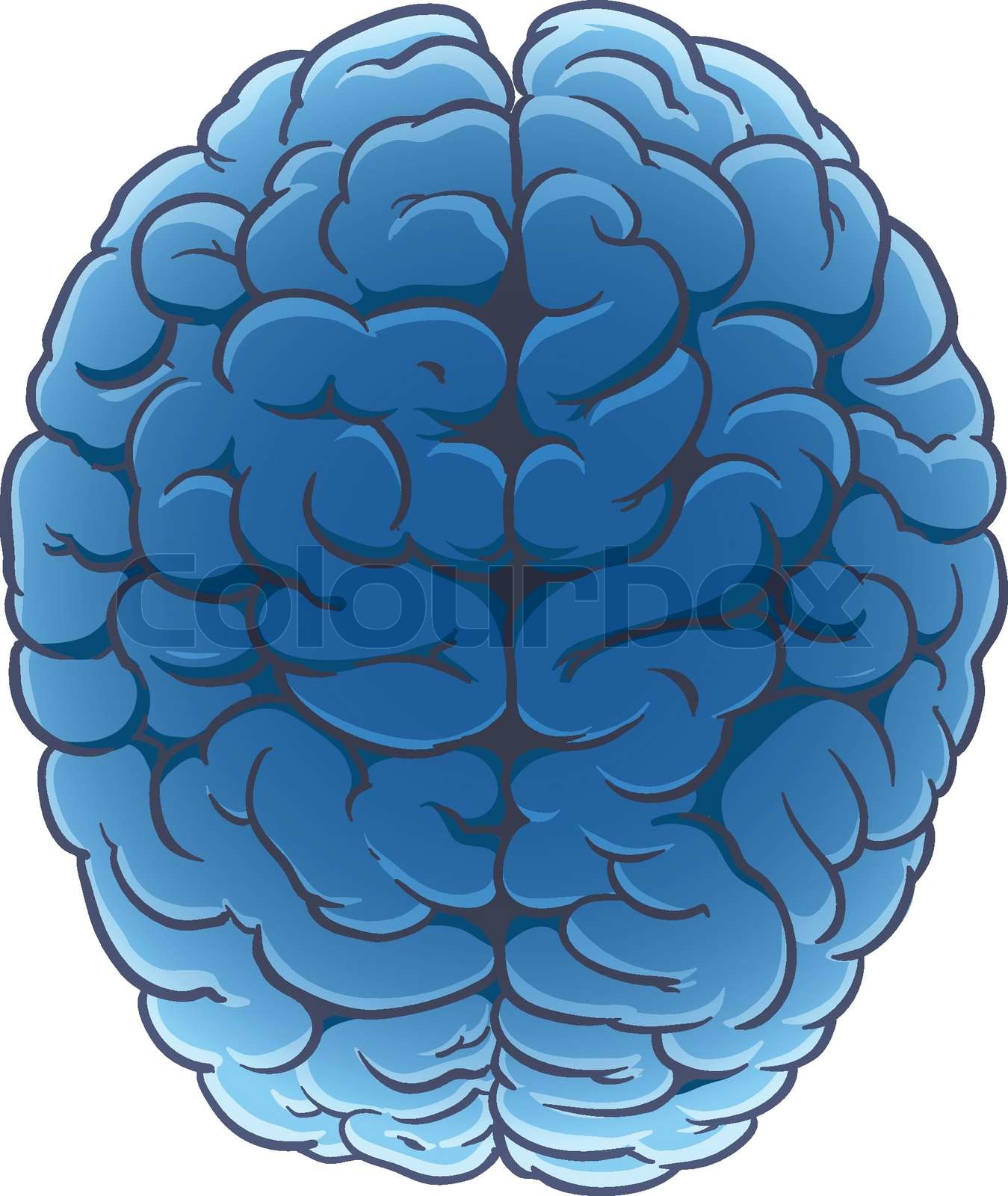 Blue human brain | Stock vector | Colourbox