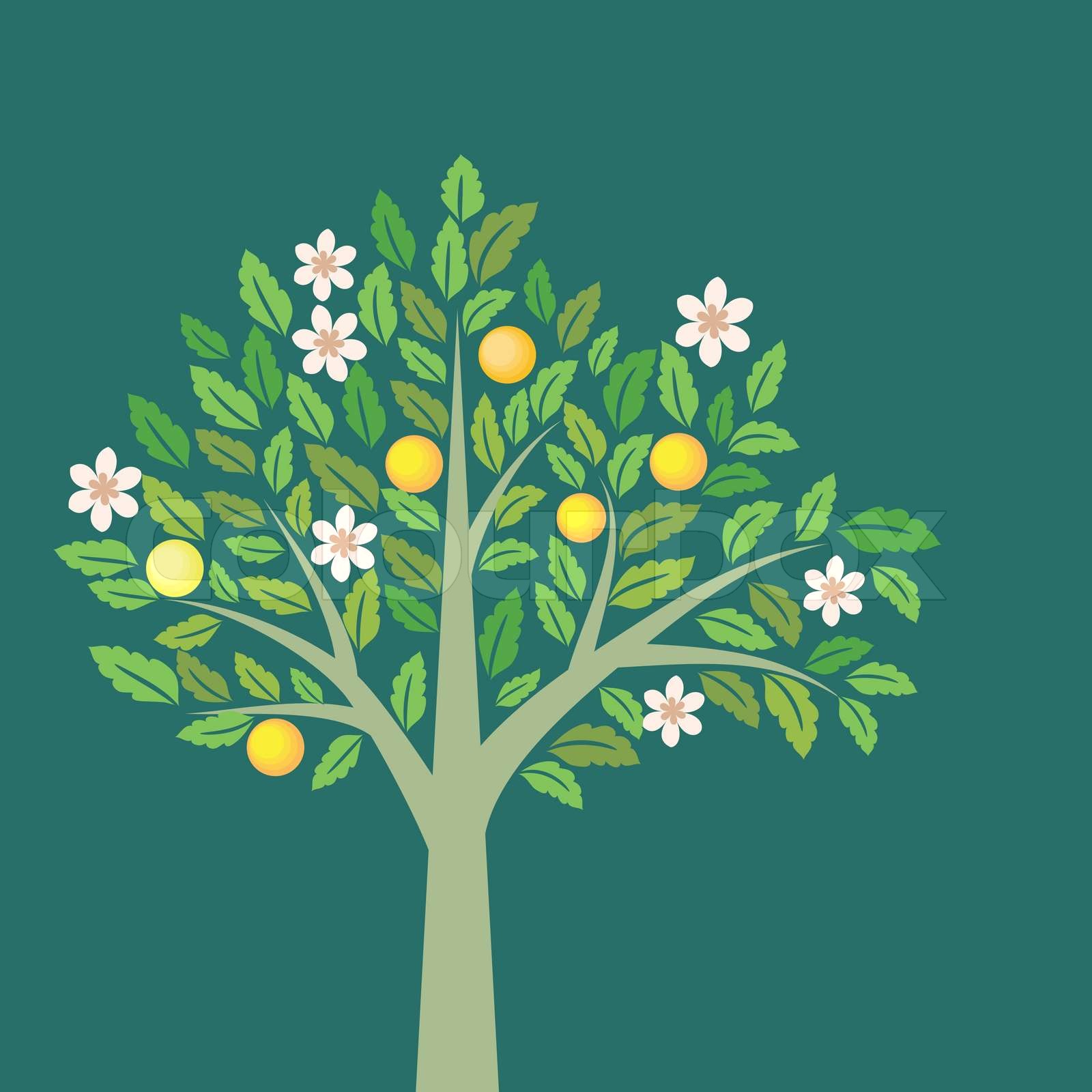 Fruit tree | Stock vector | Colourbox