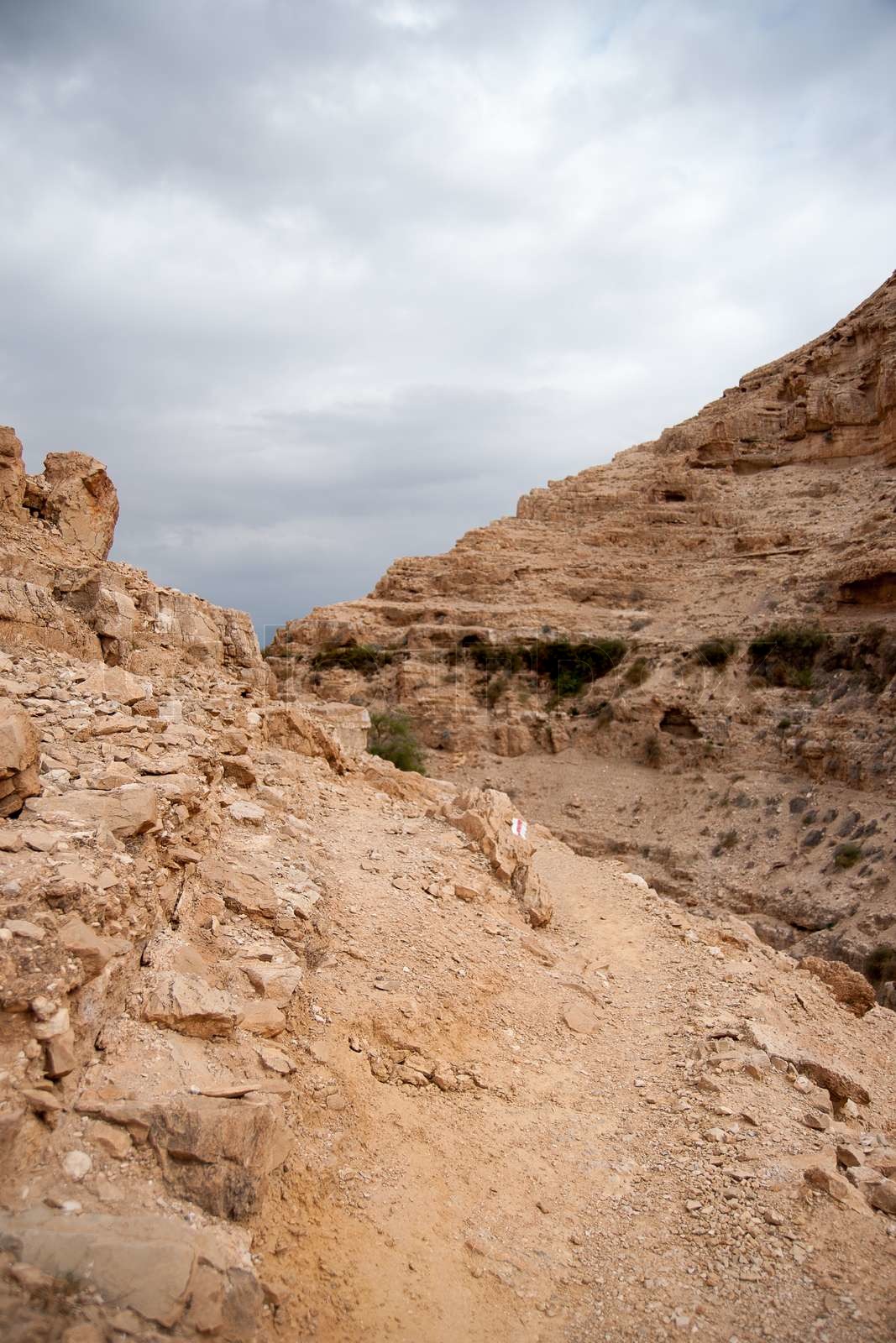 Judean desert | Stock image | Colourbox