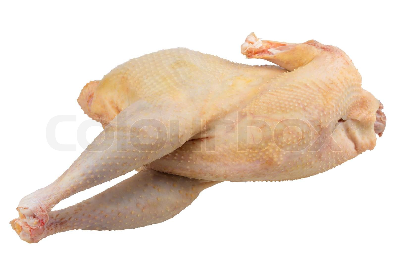 chicken carcass | Stock image | Colourbox