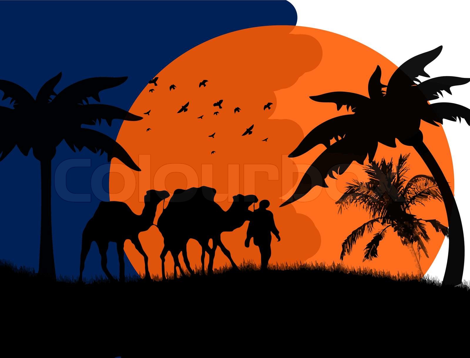 Sunset in the Sahara Desert | Stock vector | Colourbox