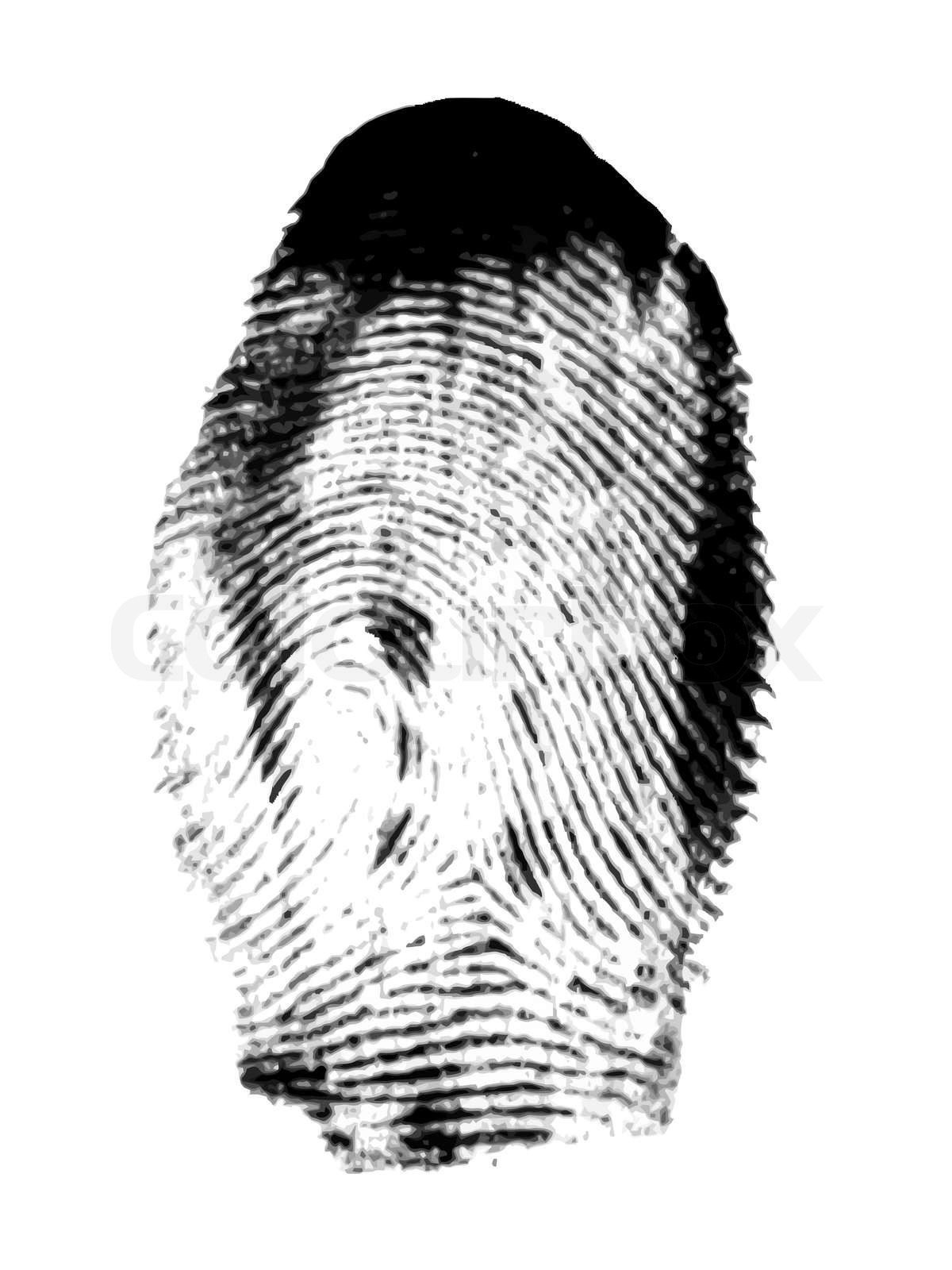 Fingerprint | Stock vector | Colourbox