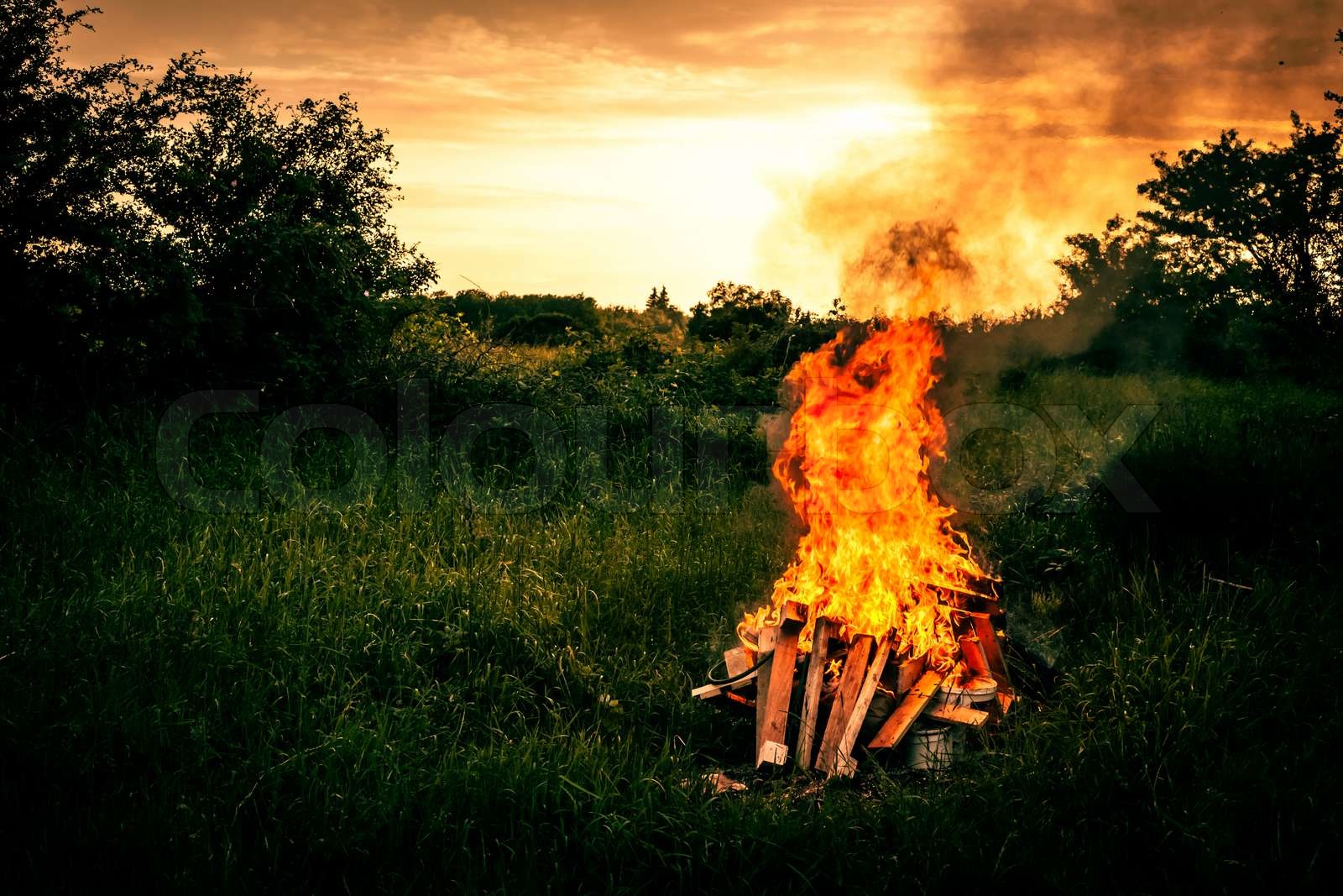 Bonfire in the nature | Stock image | Colourbox