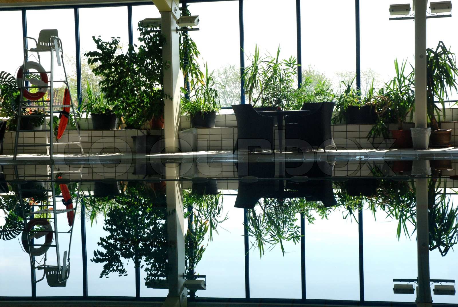 Indoor Public Swimming Pool | Stock image | Colourbox