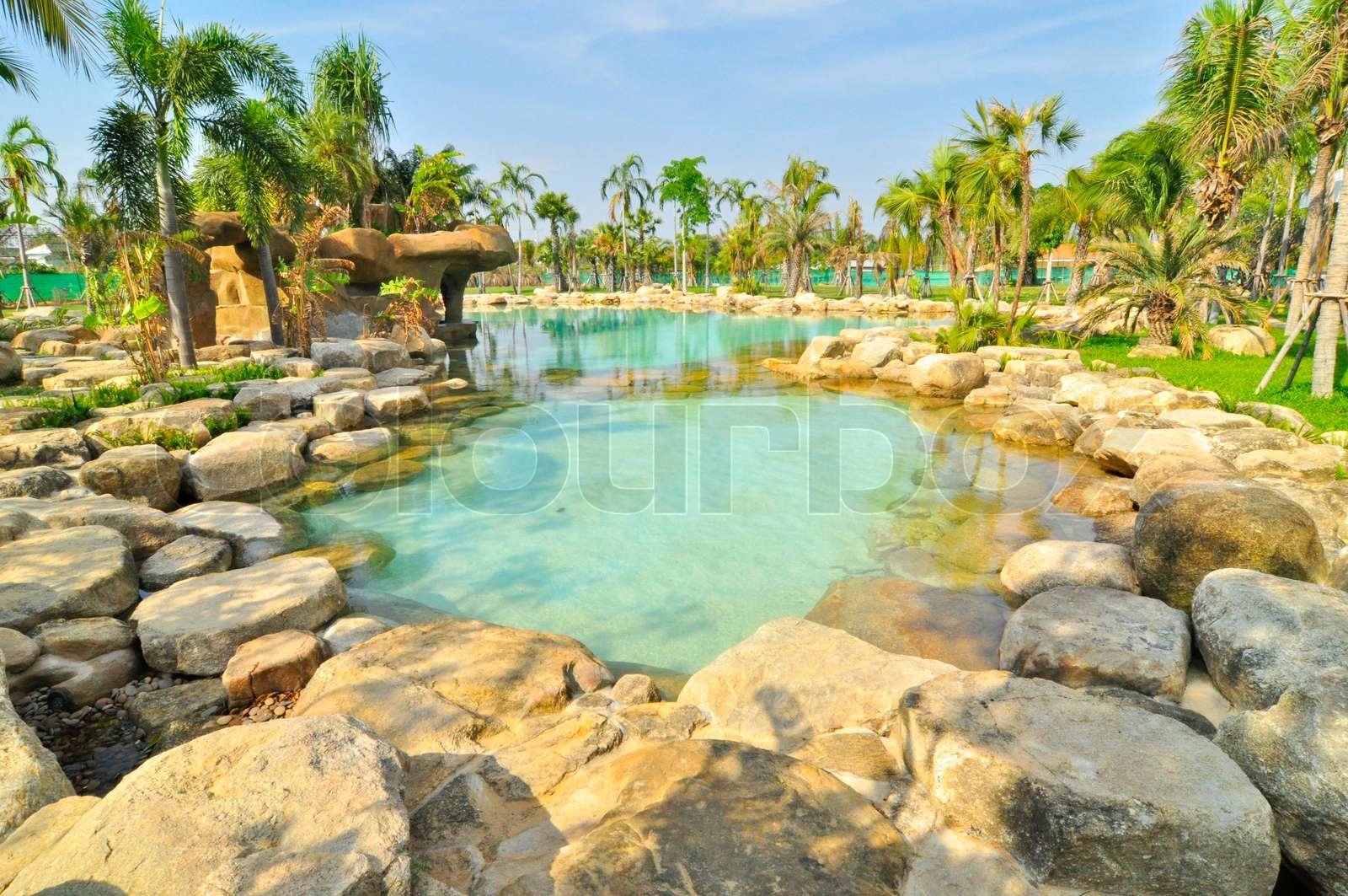 Swimming pool with nature | Stock image | Colourbox