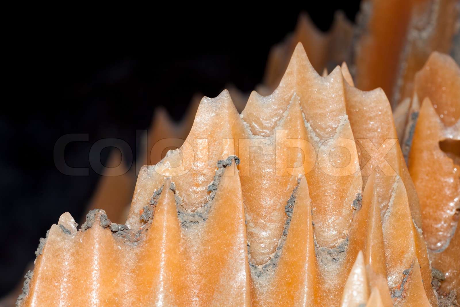 Evaporites | Stock image | Colourbox