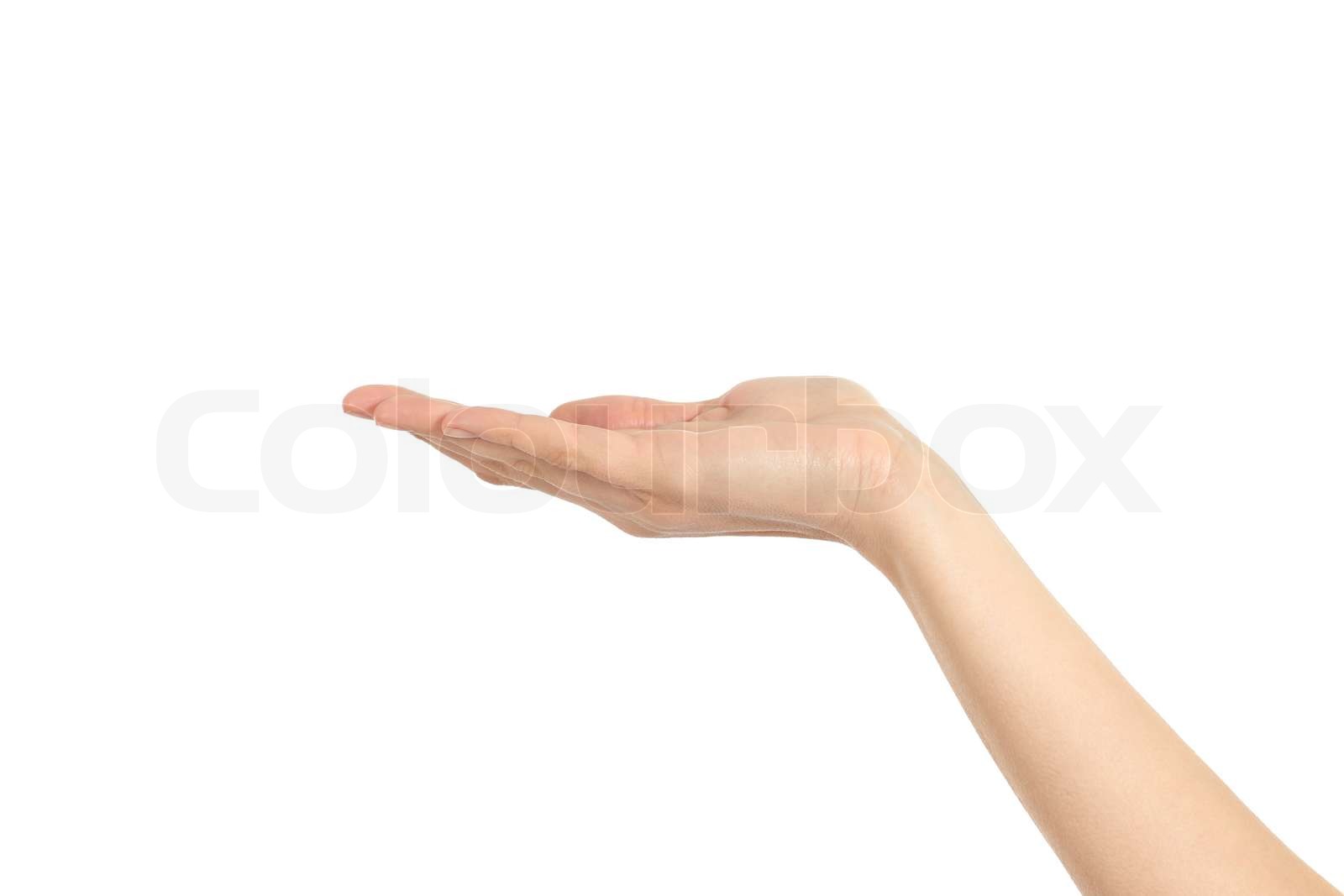 Kvinde hånd i at holde gestus | Stock foto | Colourbox