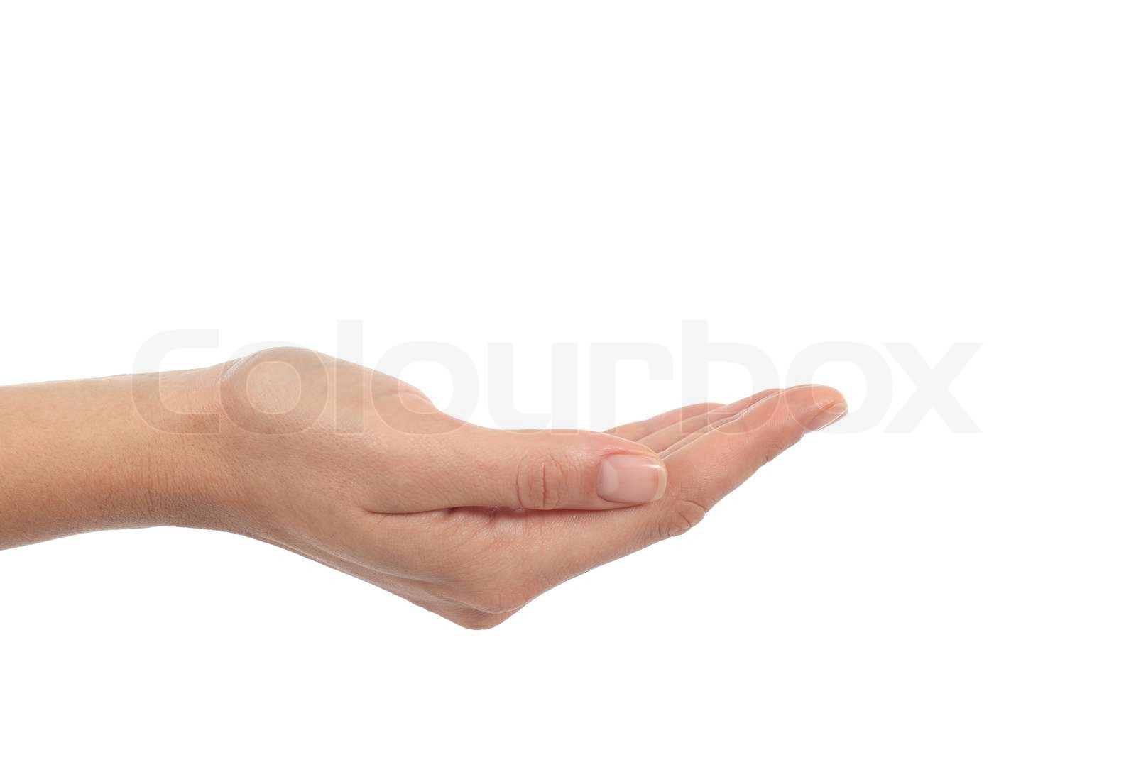 Female Hand Palm