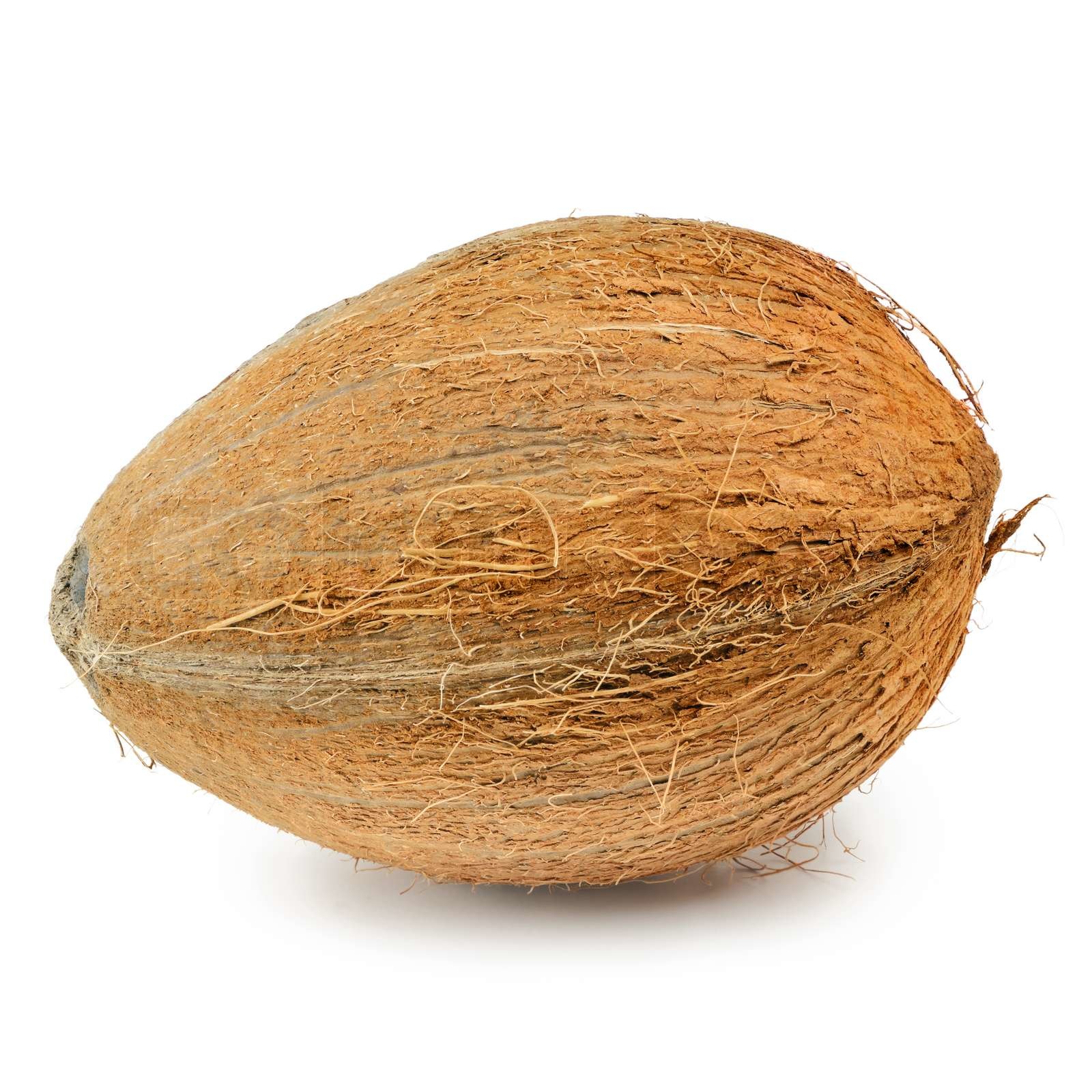 Coconut | Stock image | Colourbox