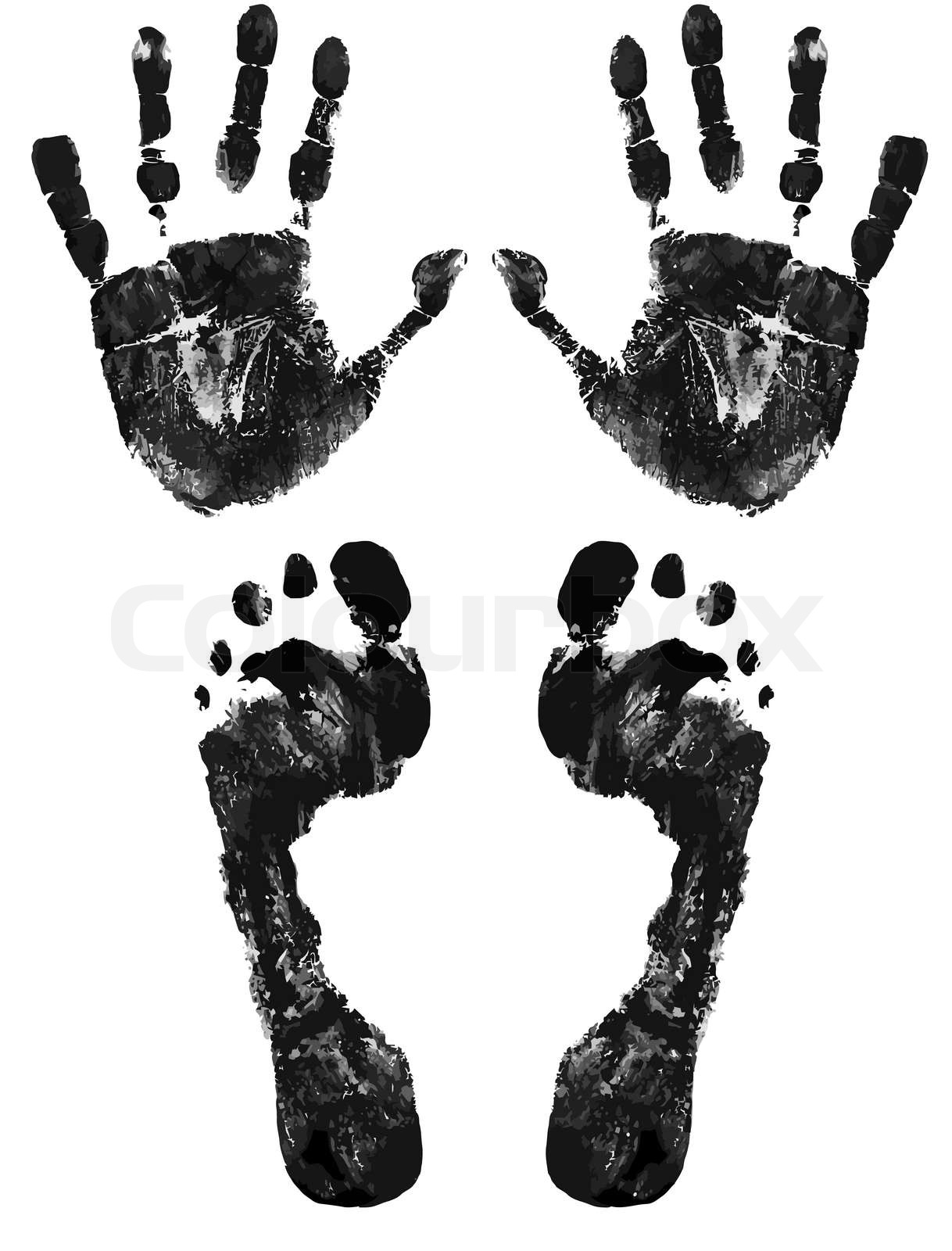 Hands and feet print | Stock vector | Colourbox