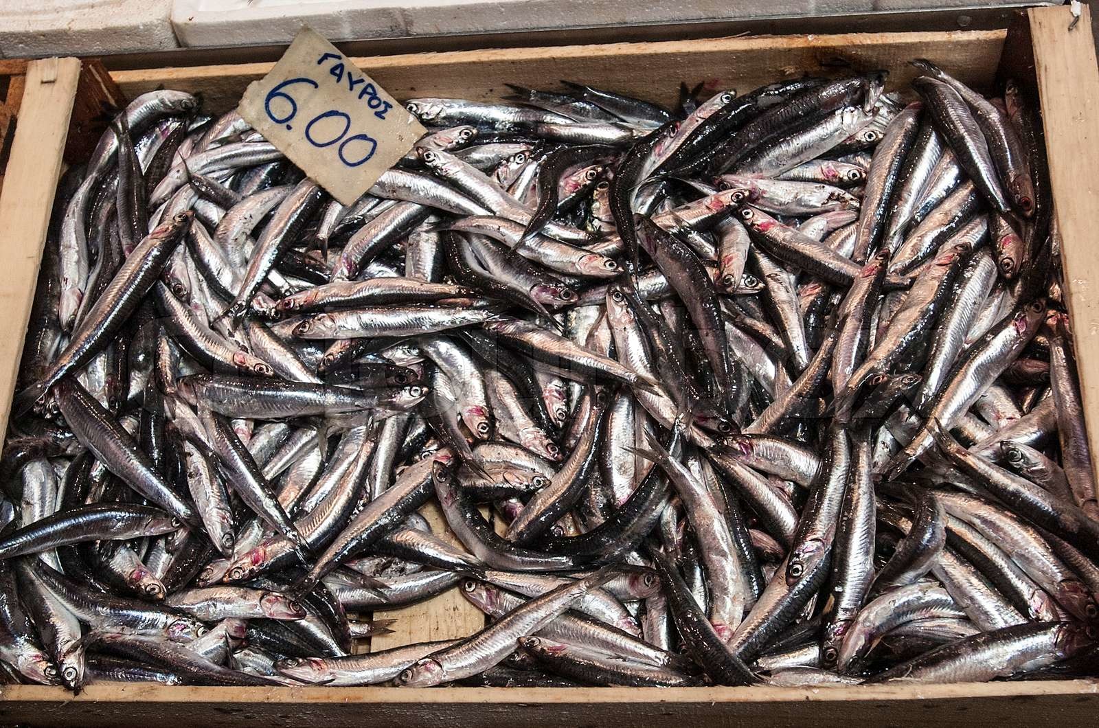 Kreta kuren | Stock Bild | Colourbox