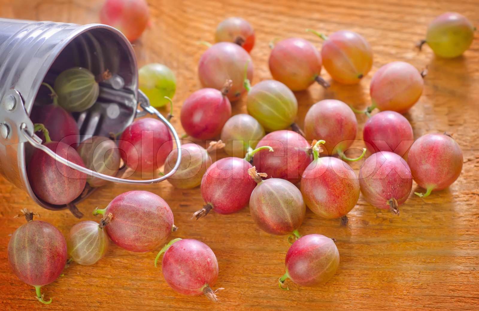 gooseberry | Stock image | Colourbox