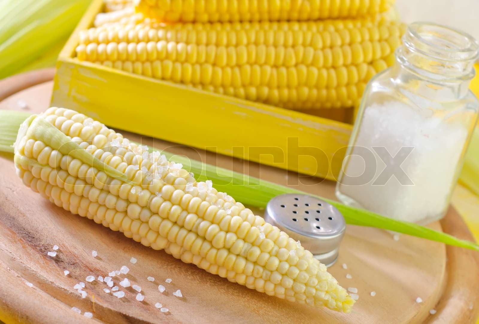 boiled corn with salt | Stock image | Colourbox