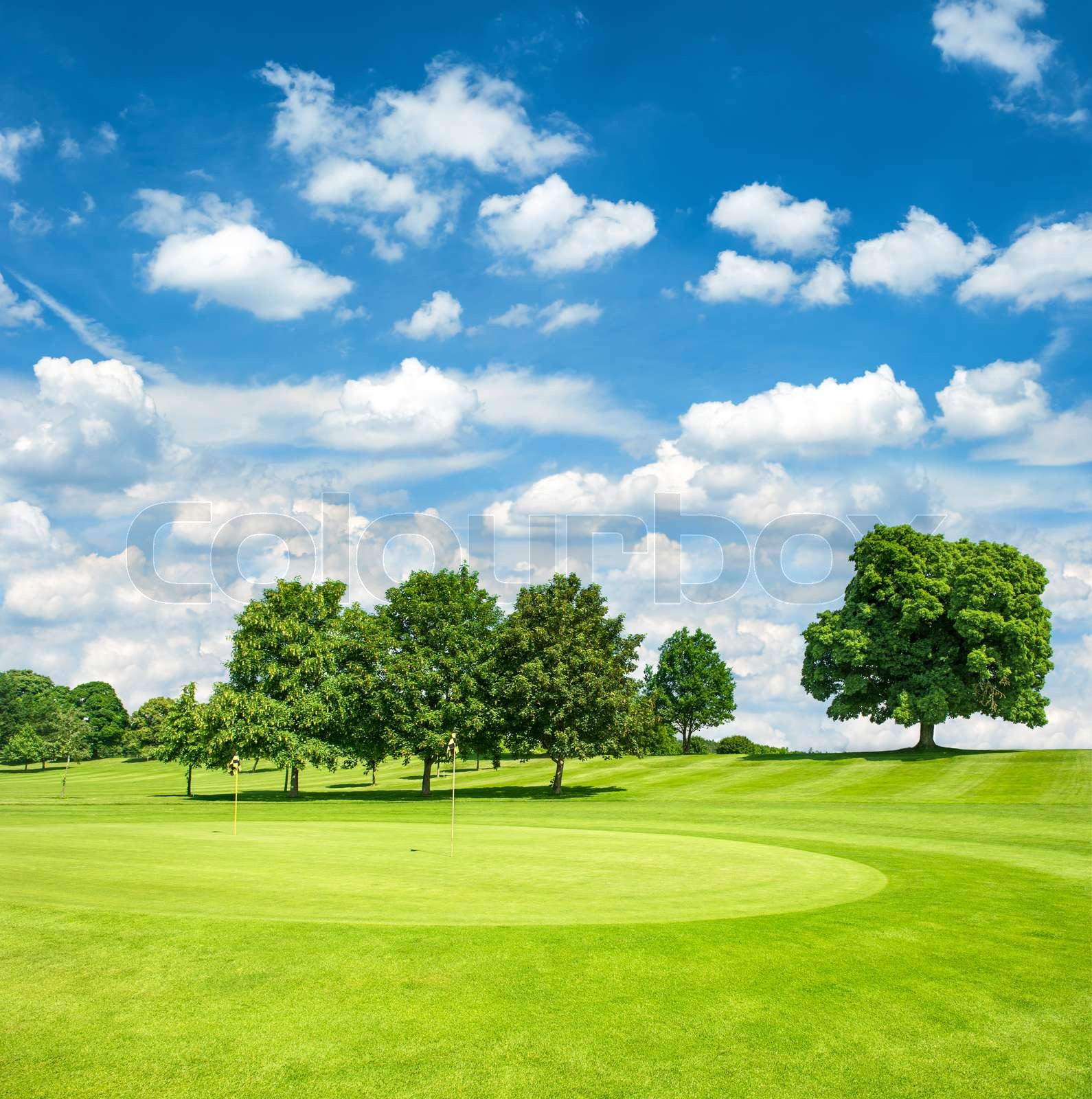 grünen Golfplatz und blauen Himmel bewölkt | Stock Bild | Colourbox