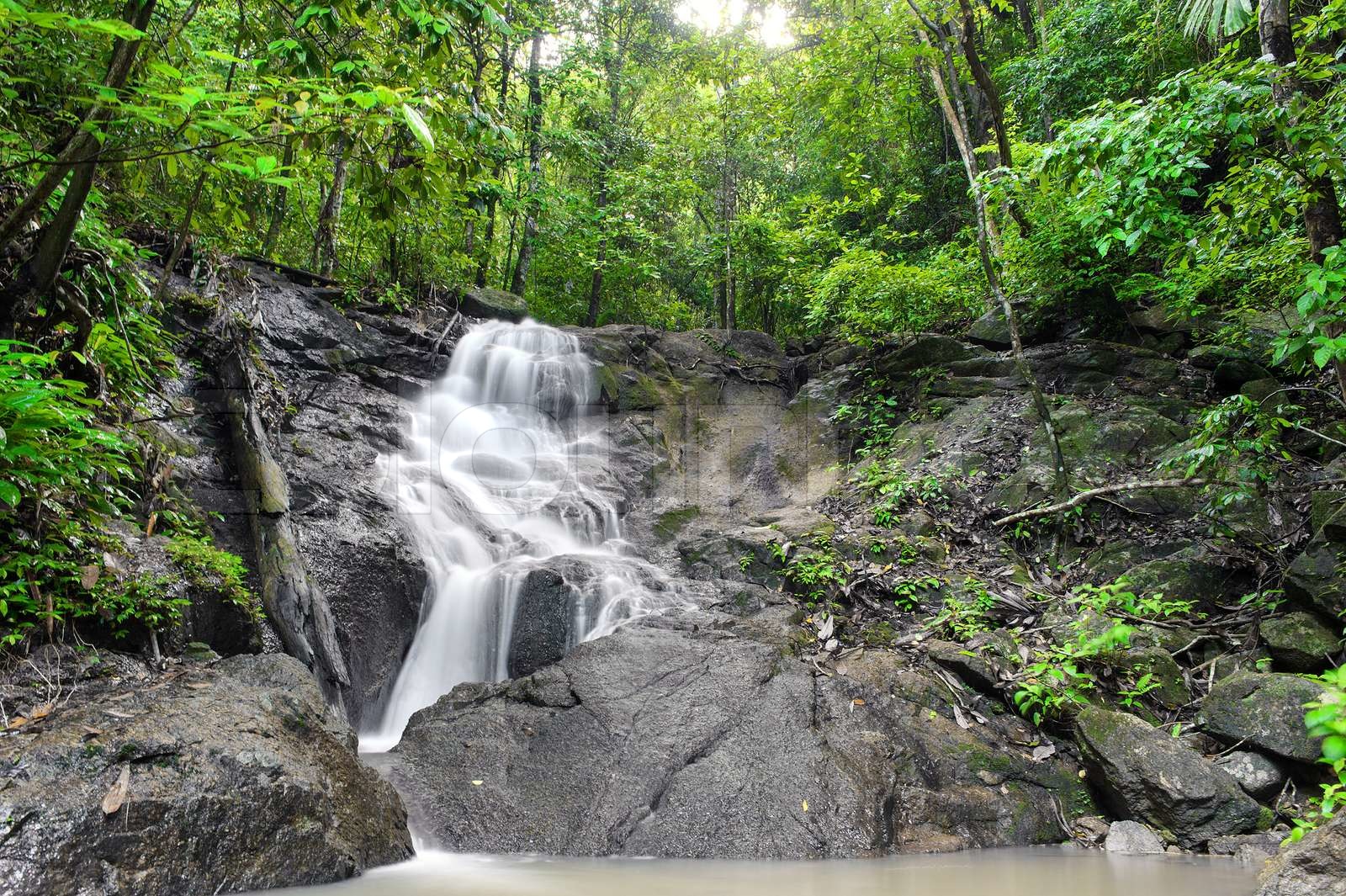 Vandfald i tropisk regnskov jungle Thailand smuk natur | Stock foto ...