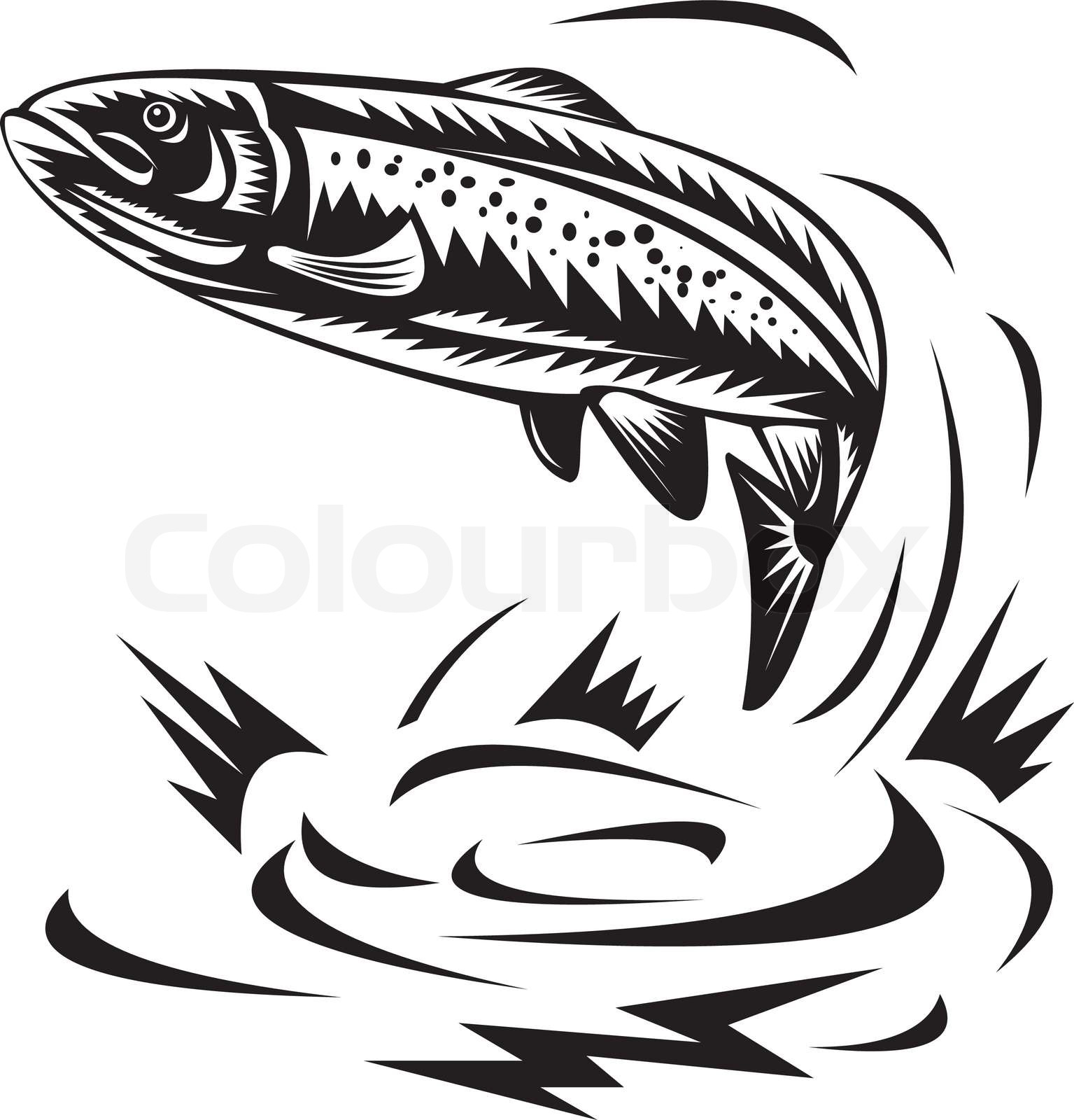 trout fish jumping | Stock vector | Colourbox