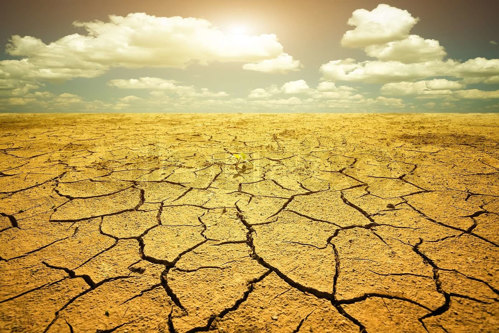 Drought | Stock image | Colourbox