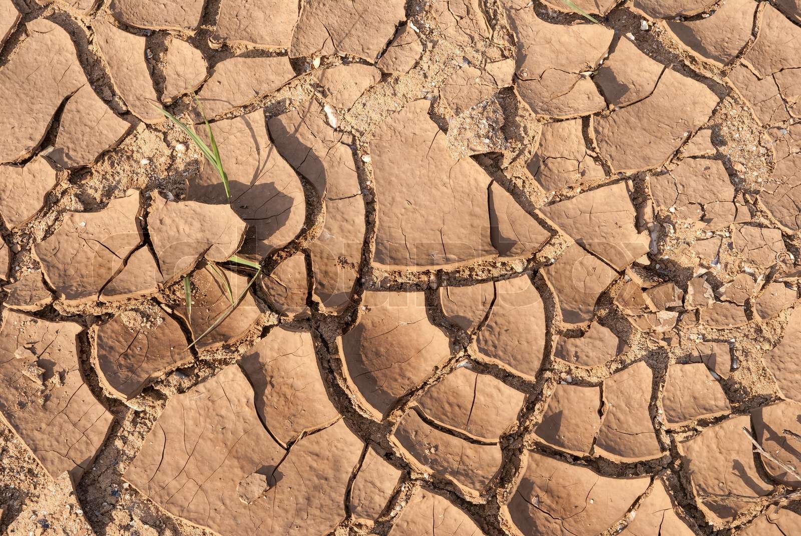 rissige Erde Textur | Stock Bild | Colourbox