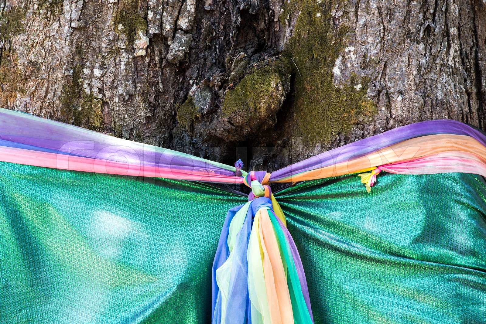 Faith tree with holy fabric | Stock image | Colourbox