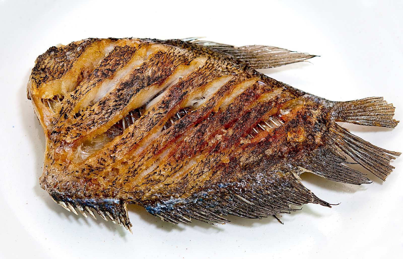 The Fried salid fish of species of fish in thailand | Stock image ...