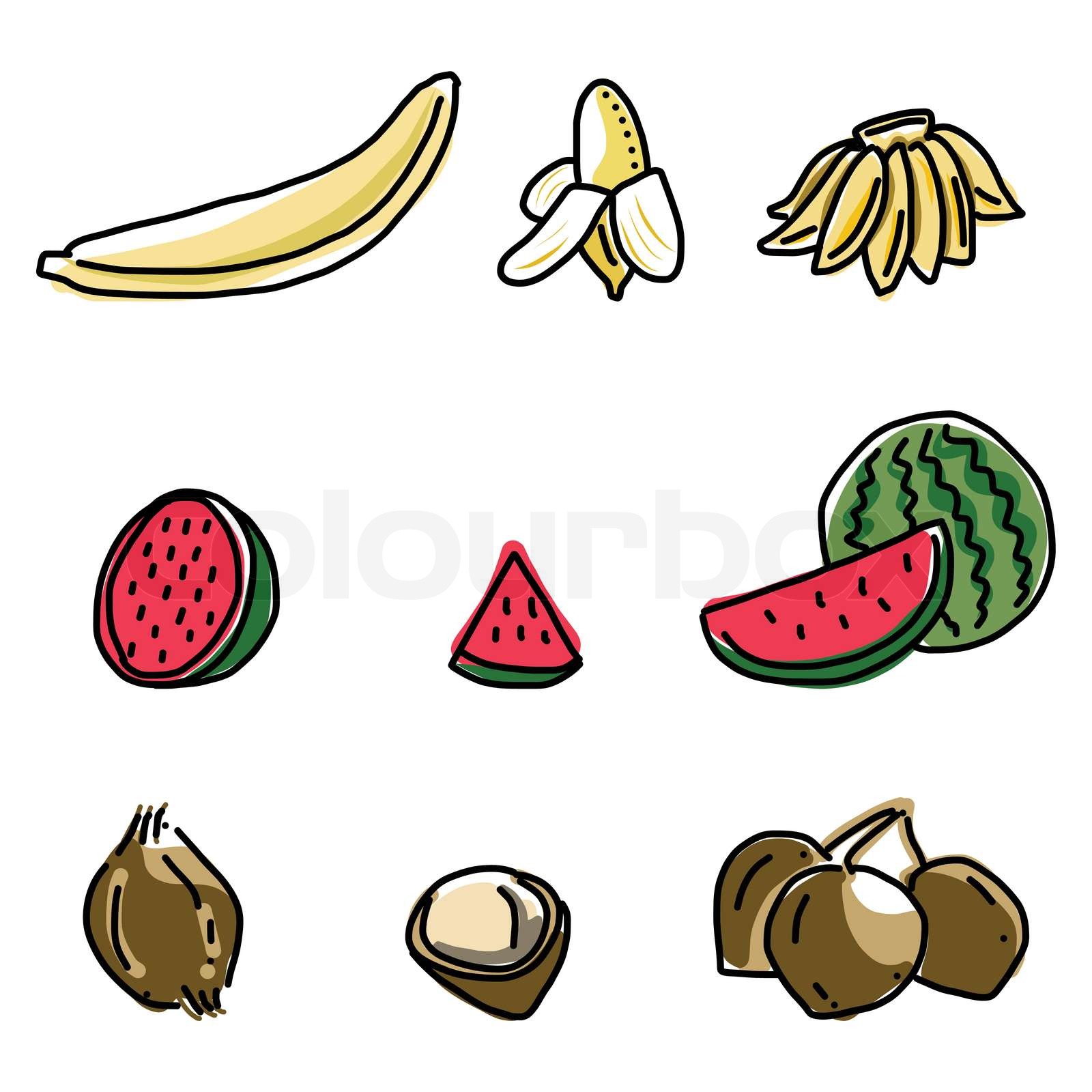 Handzeichnung Früchte | Stock-Vektor | Colourbox
