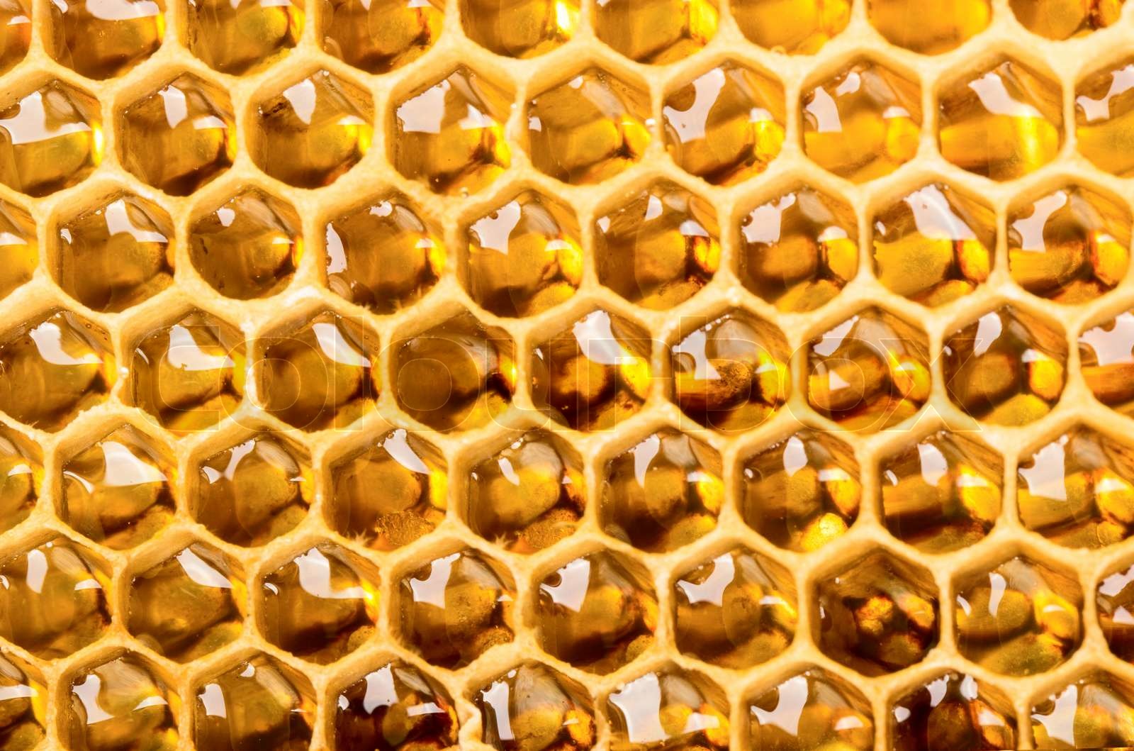 Bienenwabe | Stock Bild | Colourbox