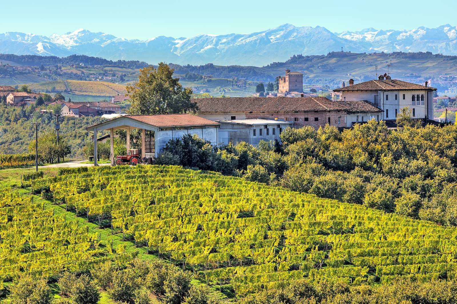 Vinmarker på bakkerne i Piemonte , Italien | Stock foto | Colourbox