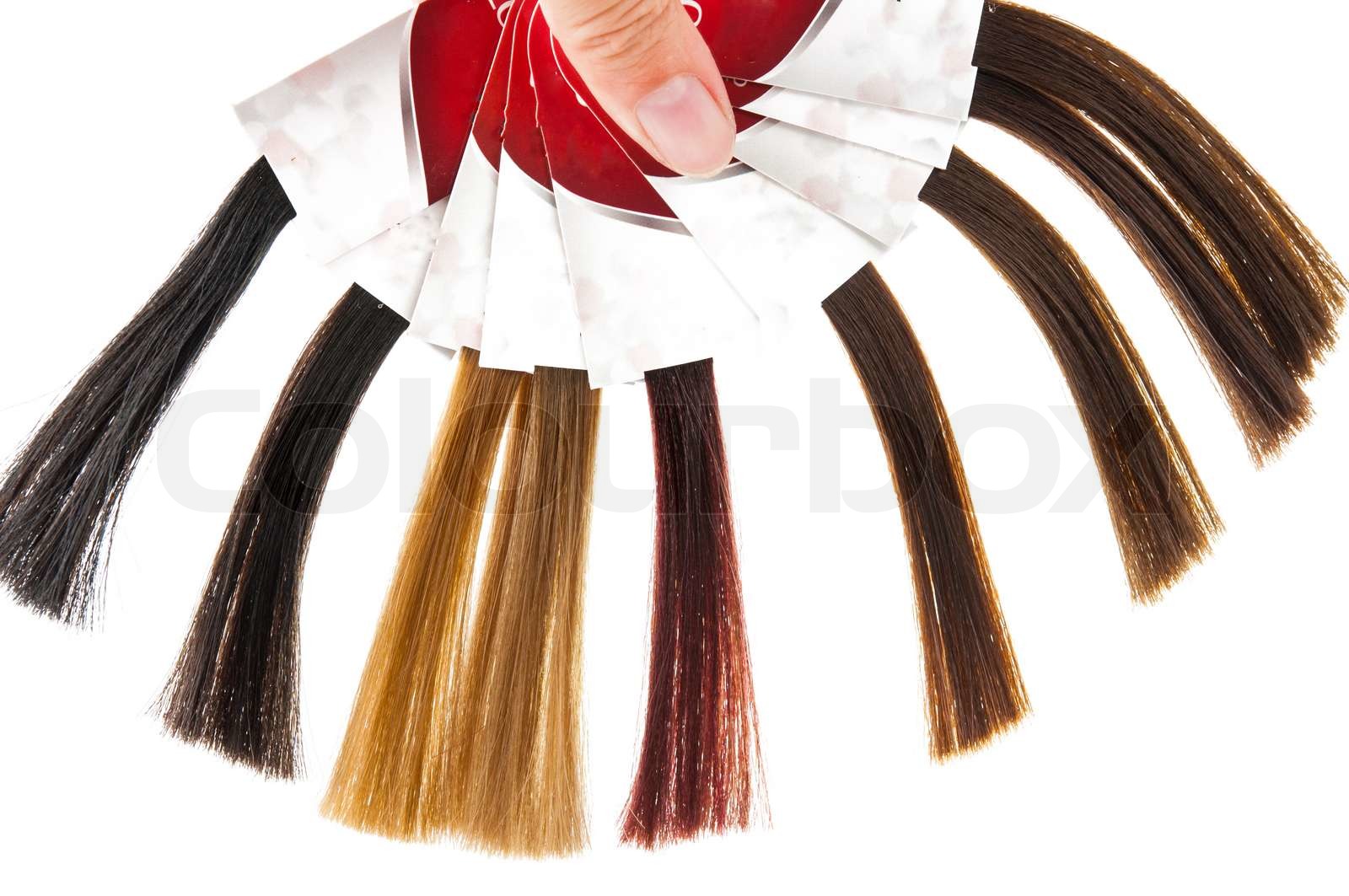 hair samples | Stock image | Colourbox