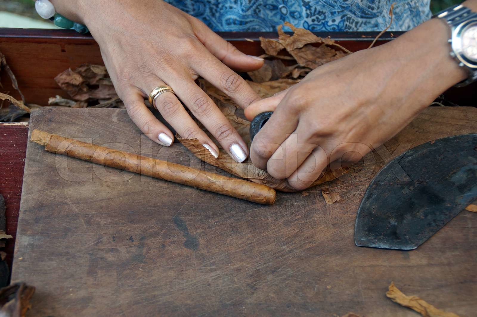 Cigars making | Stock Bild | Colourbox