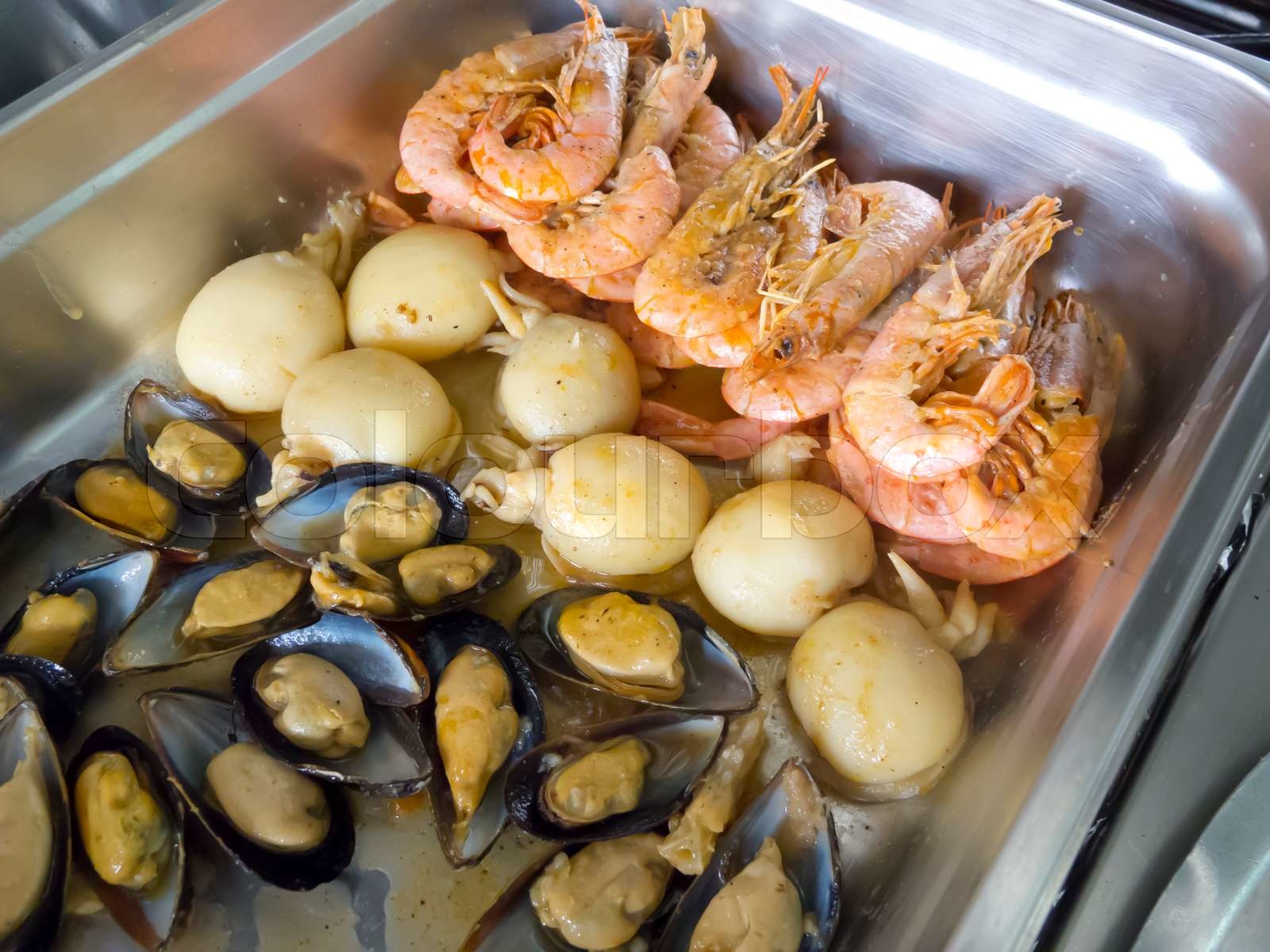 skaldyr kogte | Stock foto | Colourbox