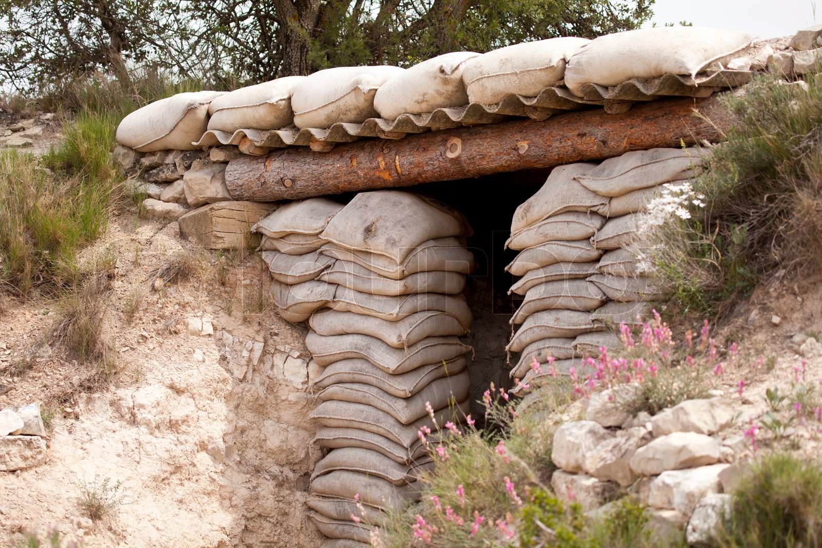 A Trench-Gate | Stock Bild | Colourbox