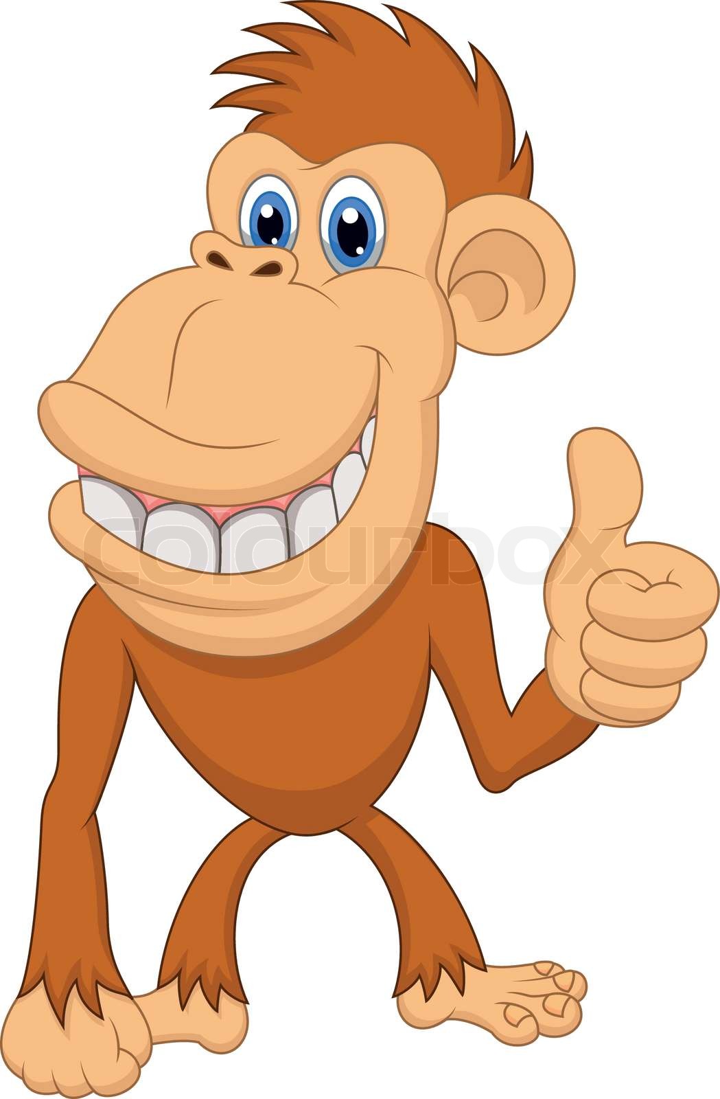 Cute monkey cartoon with thumb up | Stock vector | Colourbox