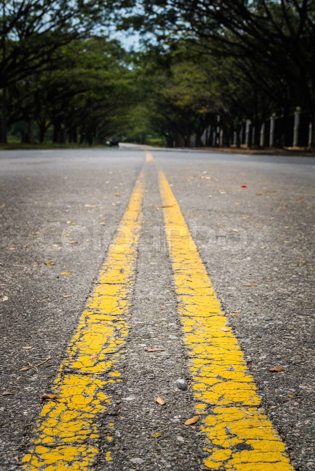 Double yellow lines | Stock image | Colourbox