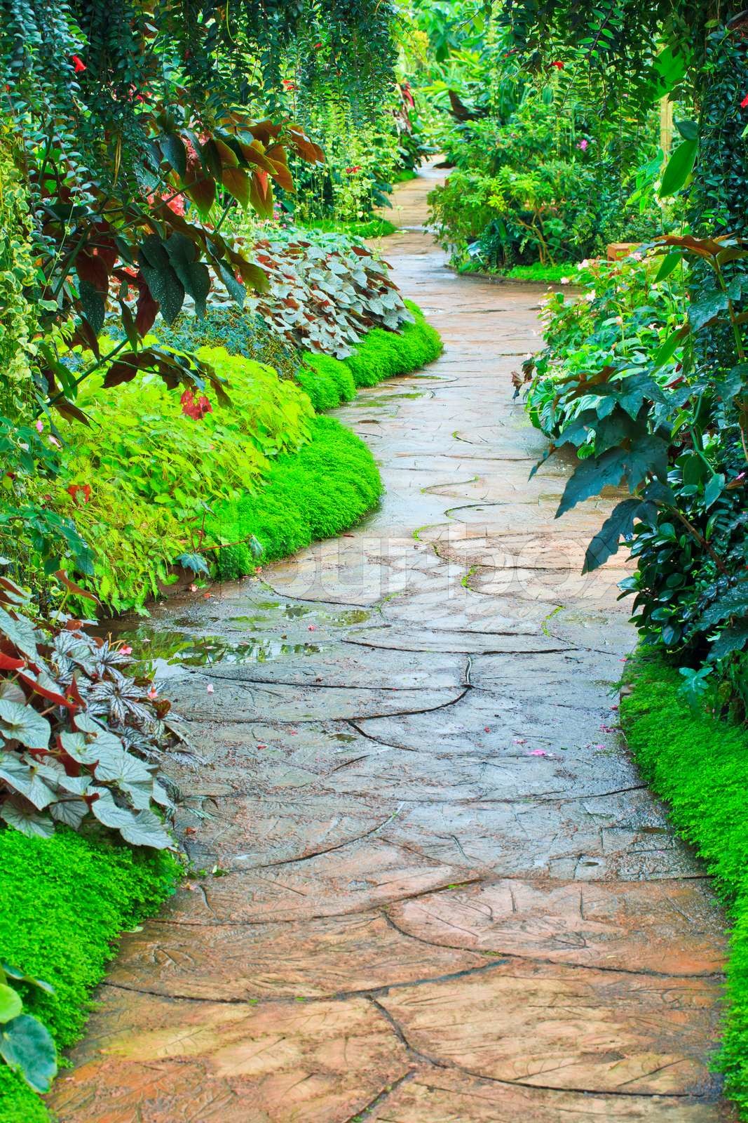 Garten Pfad im Blumengarten | Stock Bild | Colourbox