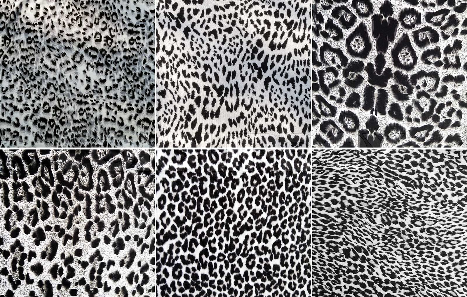 Animal pattern collage | Stock image | Colourbox