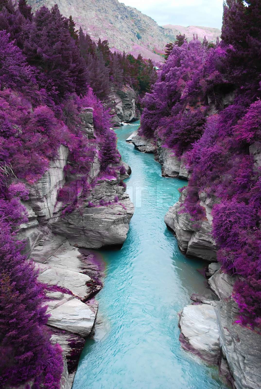 Lila Wald und blauen Fluss | Stock Bild | Colourbox