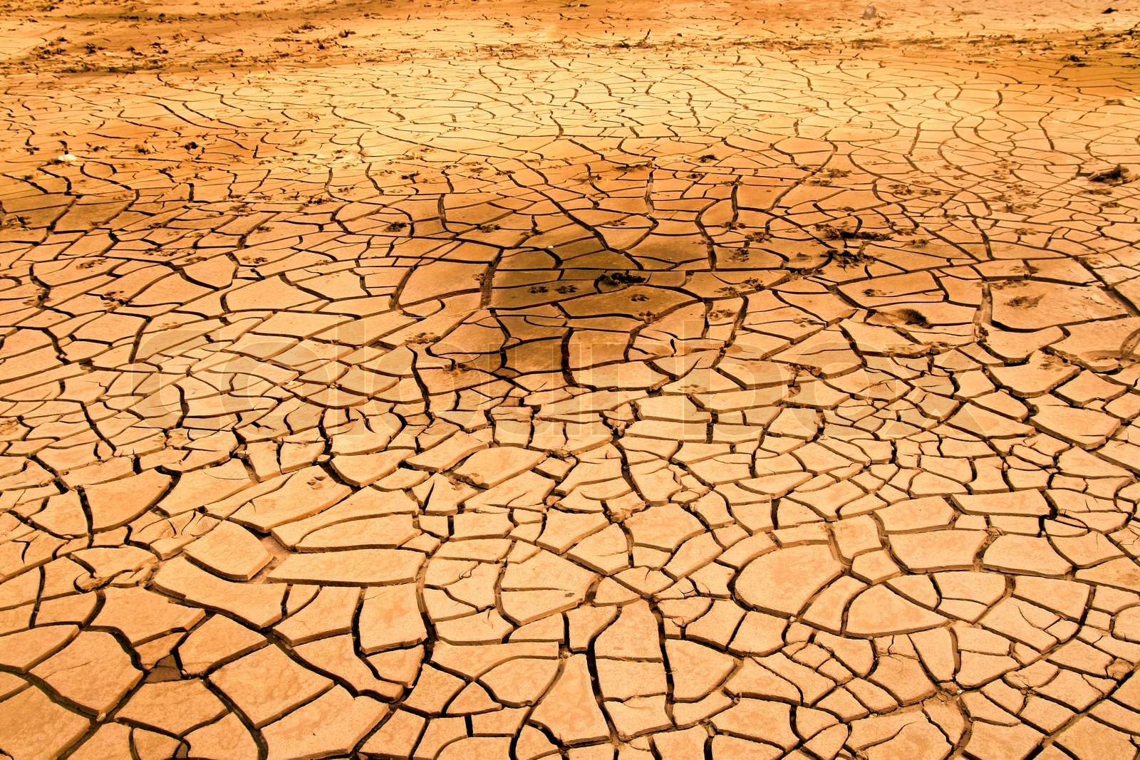 drought soil in dry river ,hot summer | Stock image | Colourbox