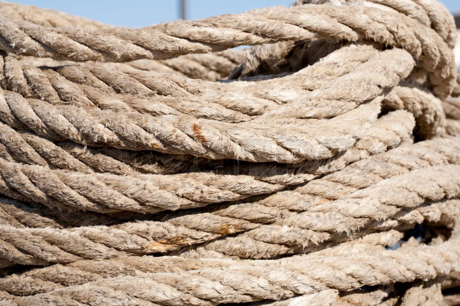 Strings | Stock image | Colourbox