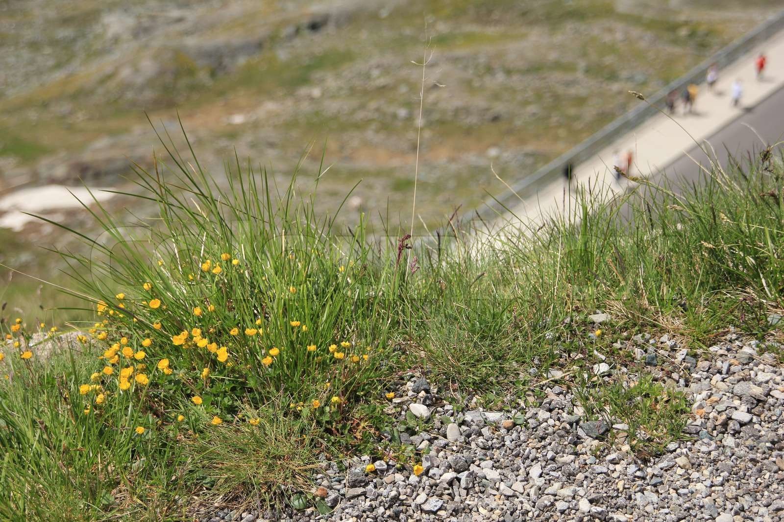 Abyss. | Stock image | Colourbox