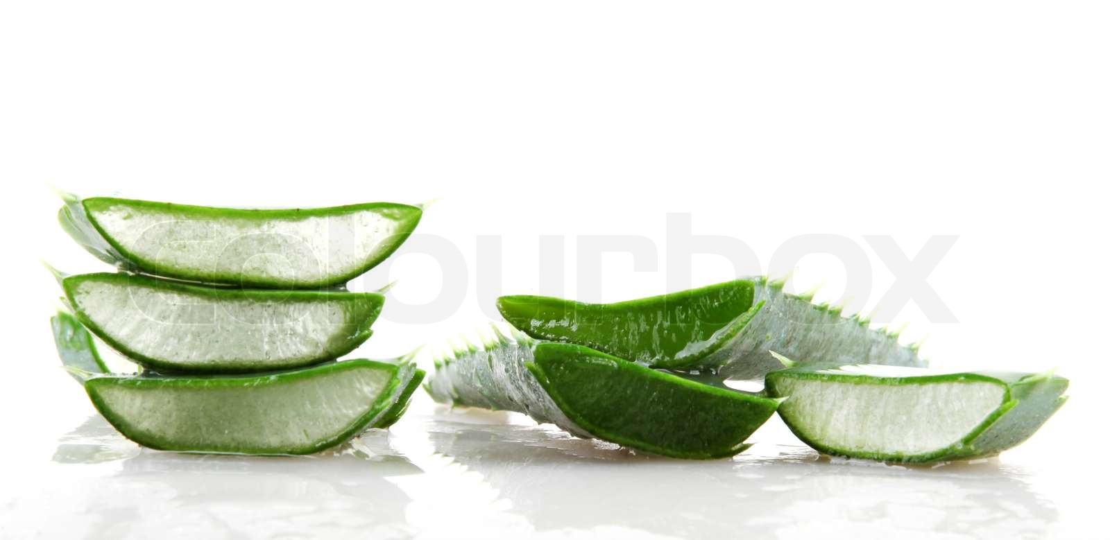Aloe vera | Stock image | Colourbox