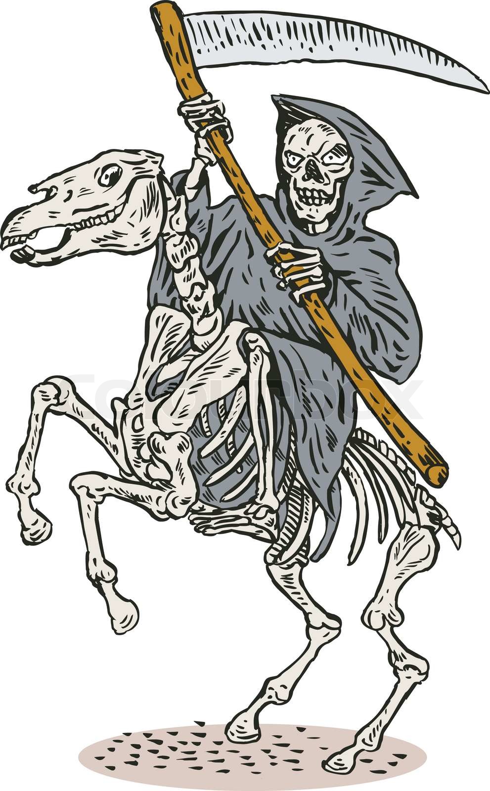 Sensenmann Skelett Reiten | Stock-Vektor | Colourbox