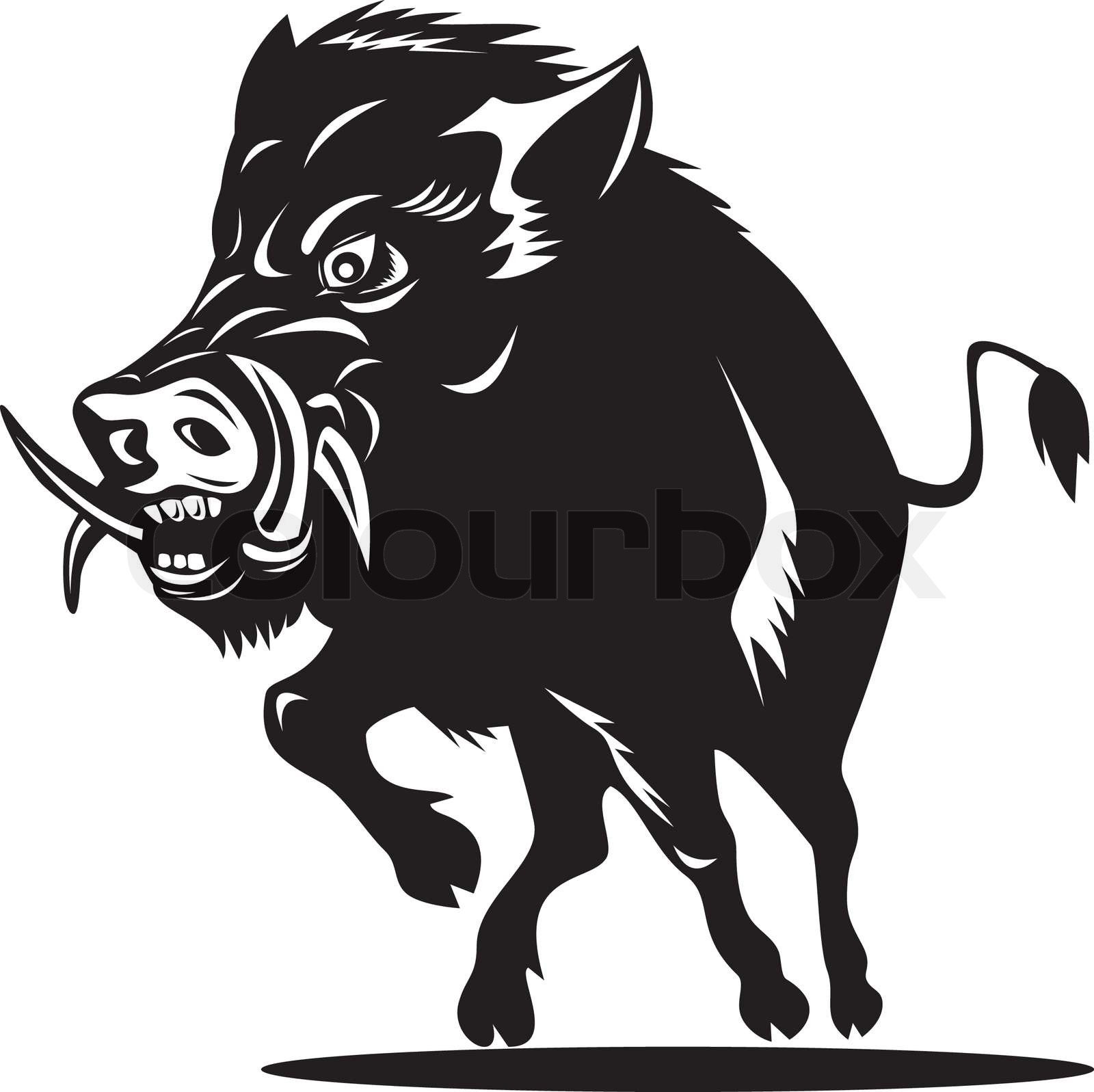 Wild Pig Boar | Stock vektor | Colourbox