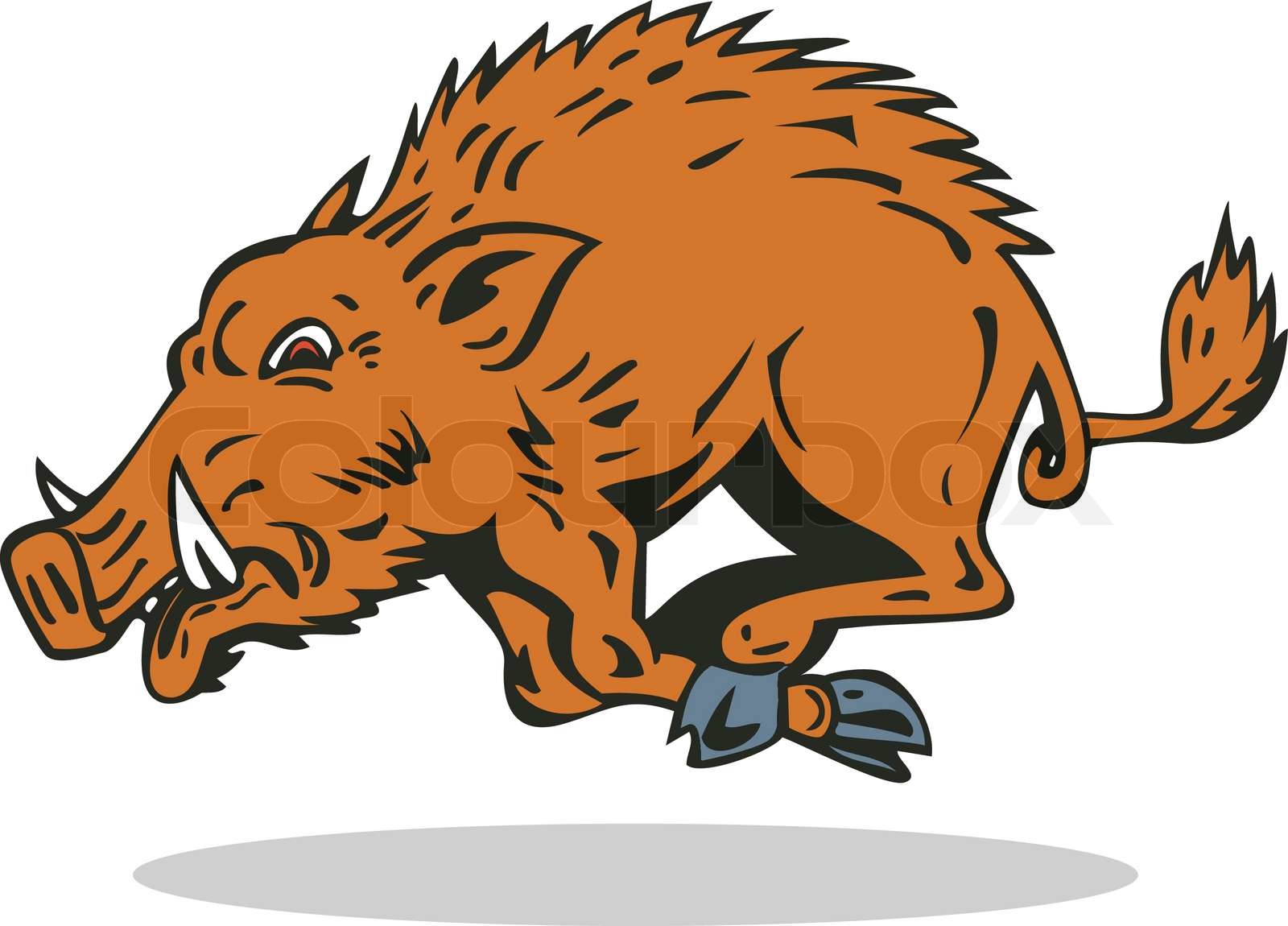 Wild Hog Jumping | Stock vector | Colourbox