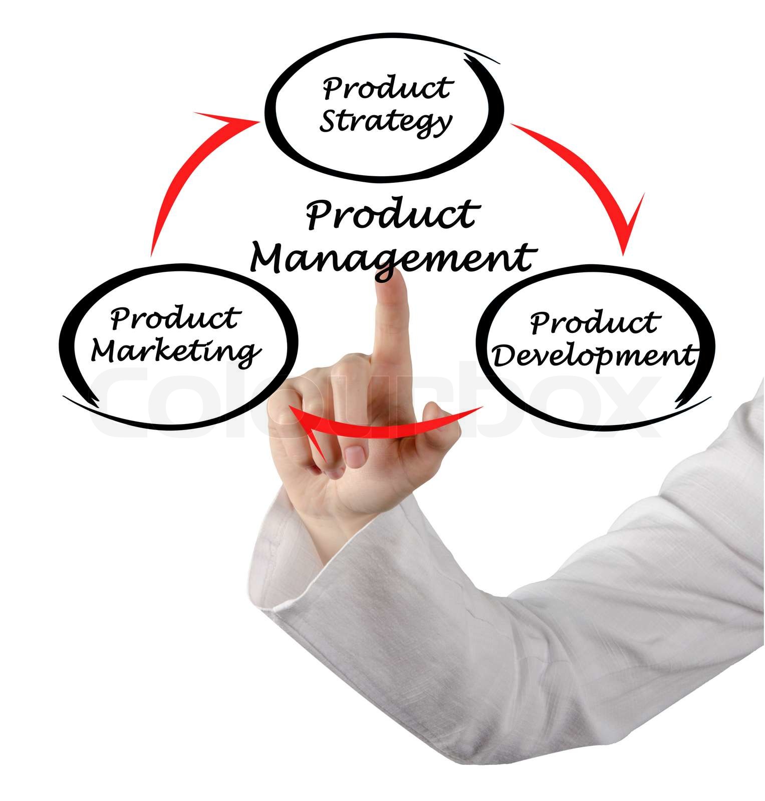 Product management | Stock image | Colourbox