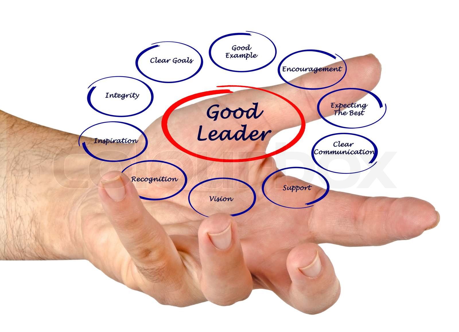 Good leader | Stock image | Colourbox