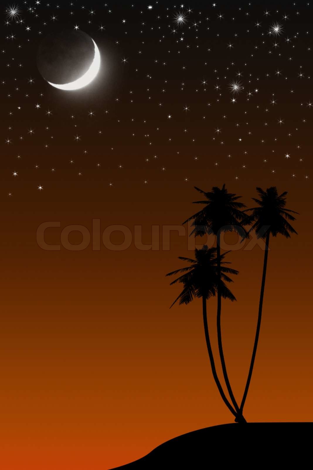 Coconut tree , moon and stars | Stock image | Colourbox