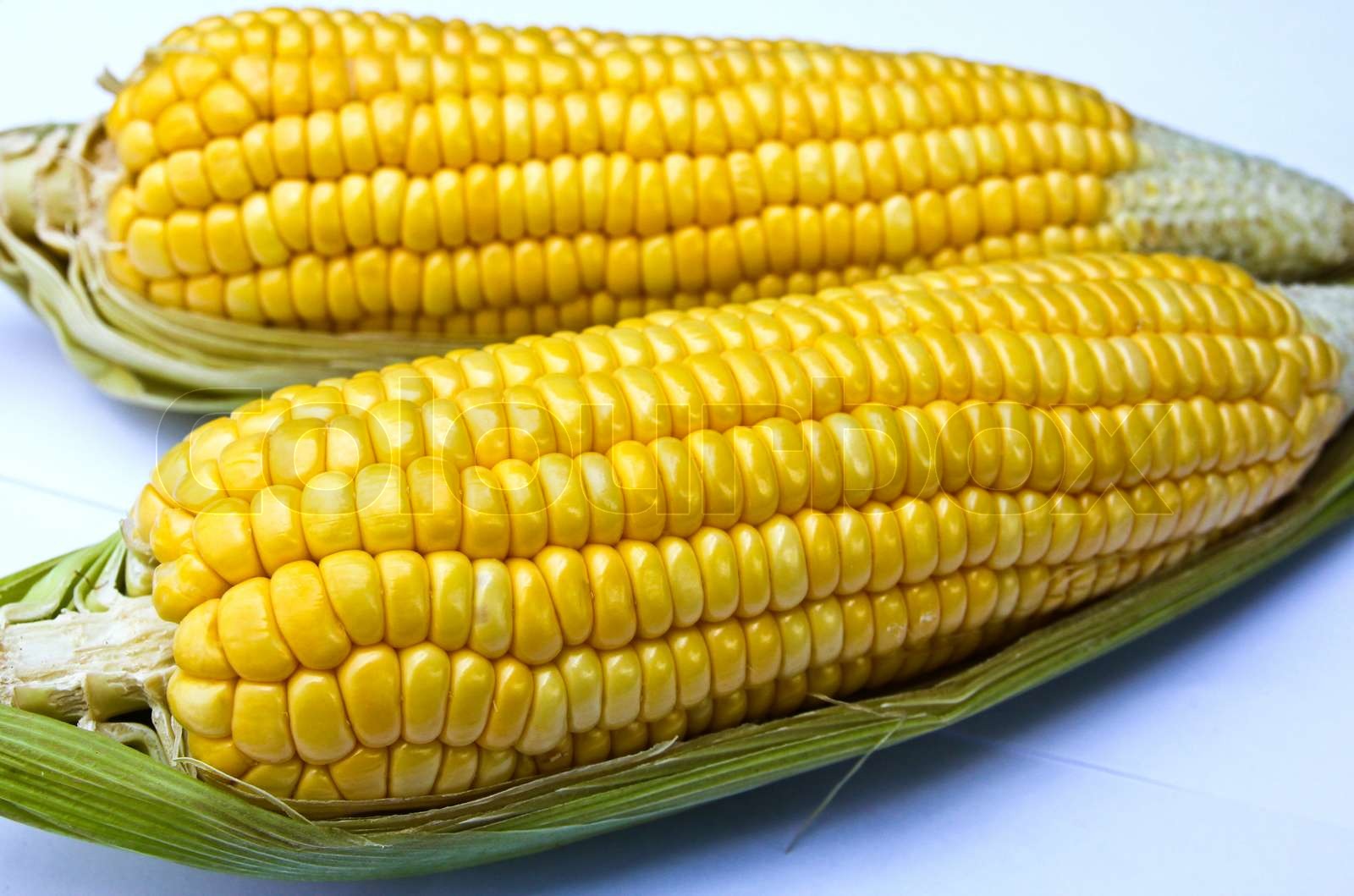 Helle Farbe Mais | Stock Bild | Colourbox