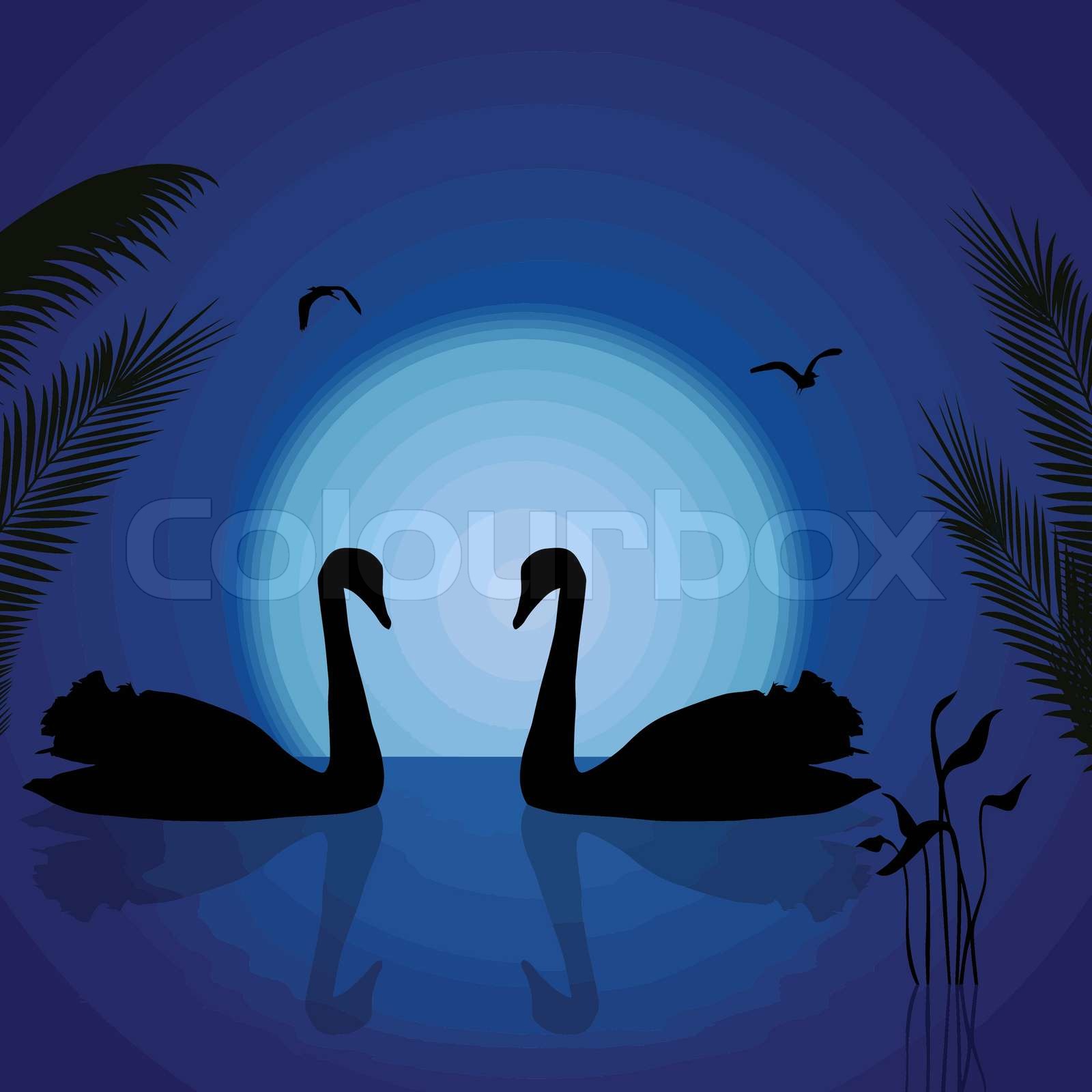 Two swans under the blue sunset | Stock vector | Colourbox
