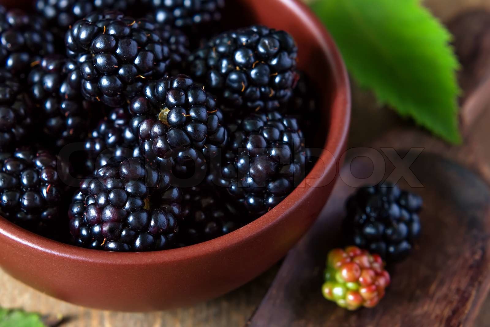 Blackberry | Stock image | Colourbox